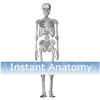 Instant Anatomy - Learn human anatomy online